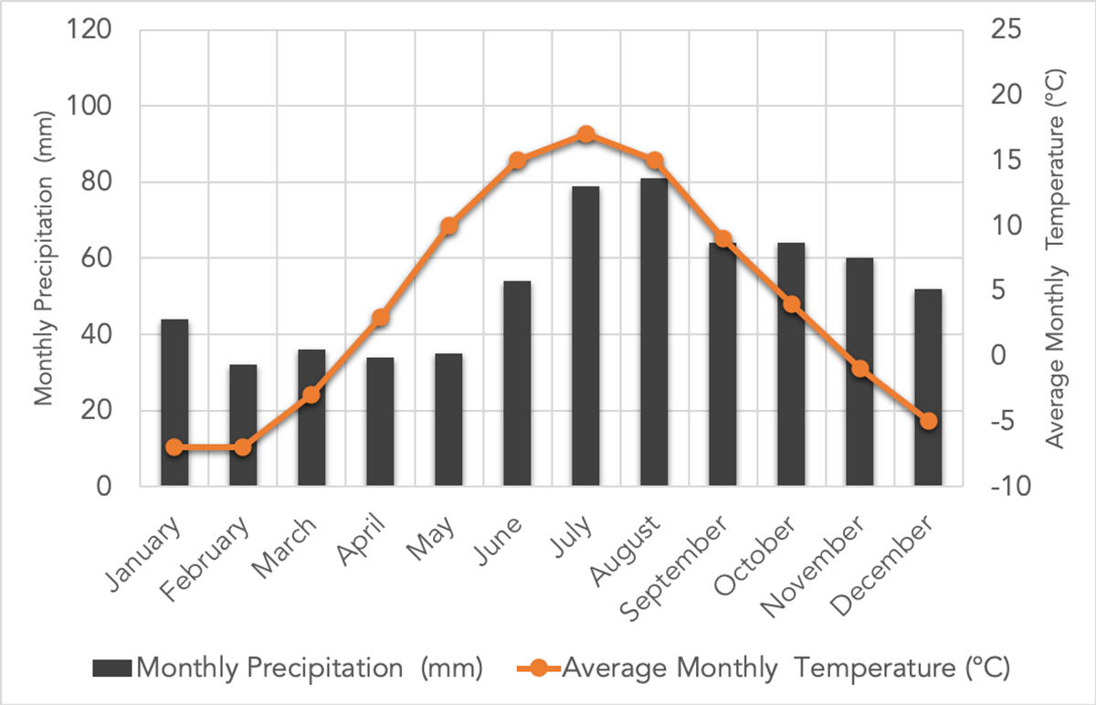 climate graph template