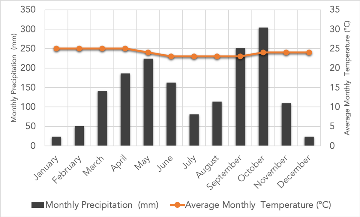 temperate deciduous forest temperature