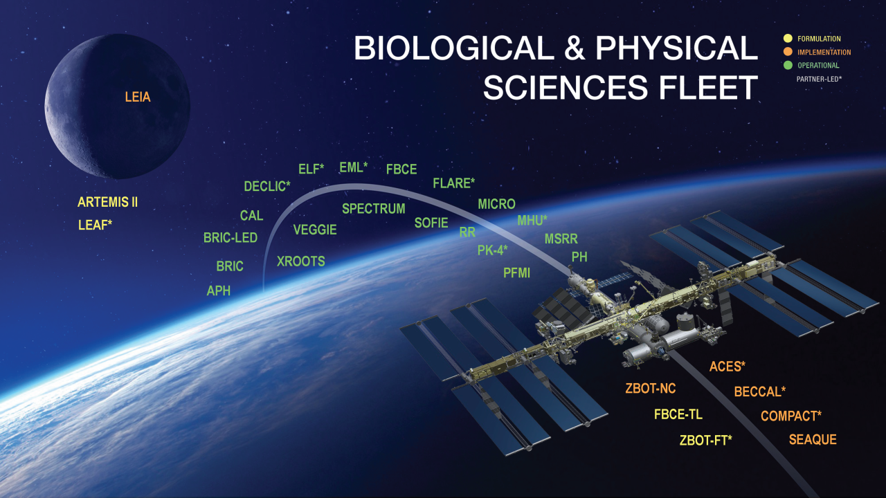 NASA Biological & Physical Sciences - NASA Science