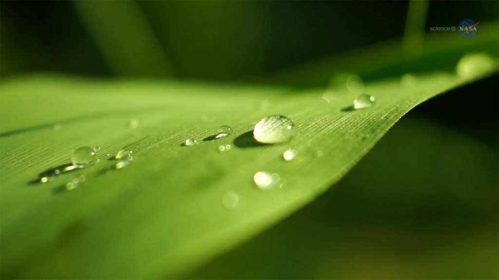 Sweating Can Be Cool - NASA Science