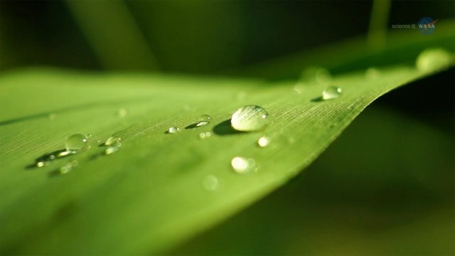 Sweating Can Be Cool - NASA Science