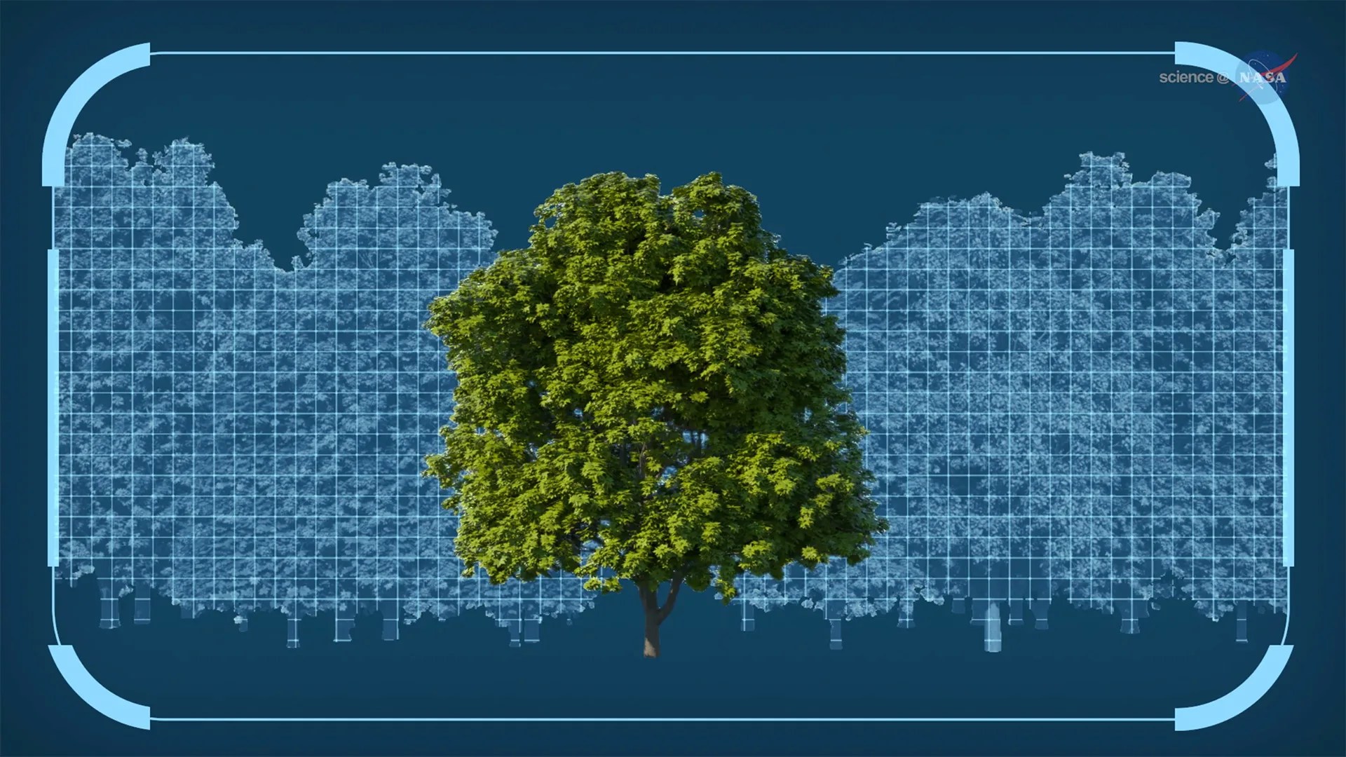 Shining Laser Light on Earth’s Forests - NASA Science