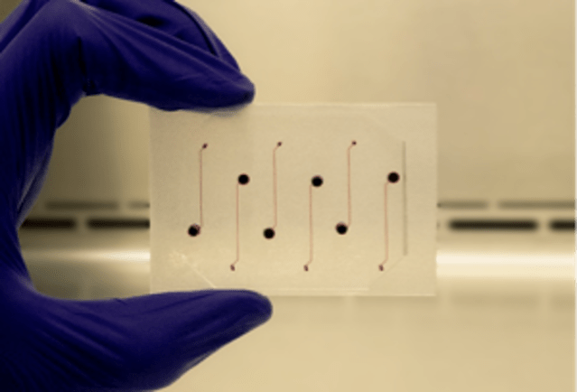 Long-term Patient iPC Vessel Chip Model to Assess Stressors of ...