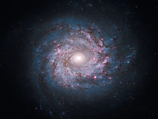 Pinwheel of Star Birth - NASA Science