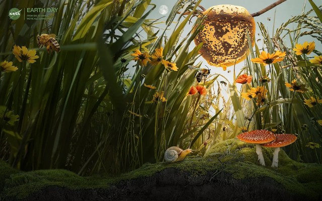 Earth Day Poster 2021 - NASA Science