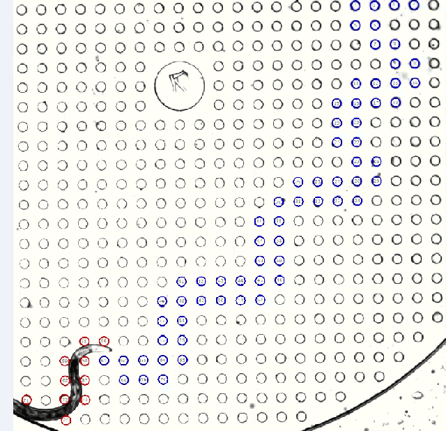 Micro-16 - NASA Science