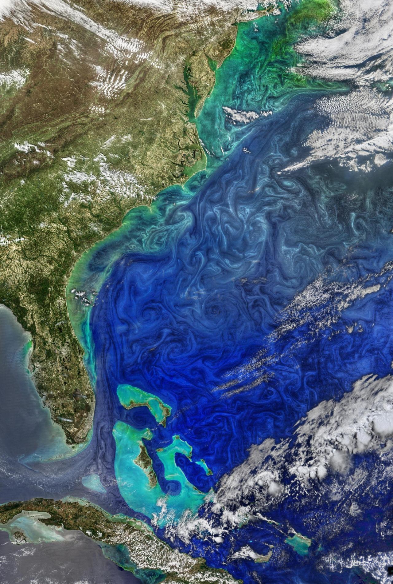 Linking ocean circulation and riverine carbon flux - NASA Science