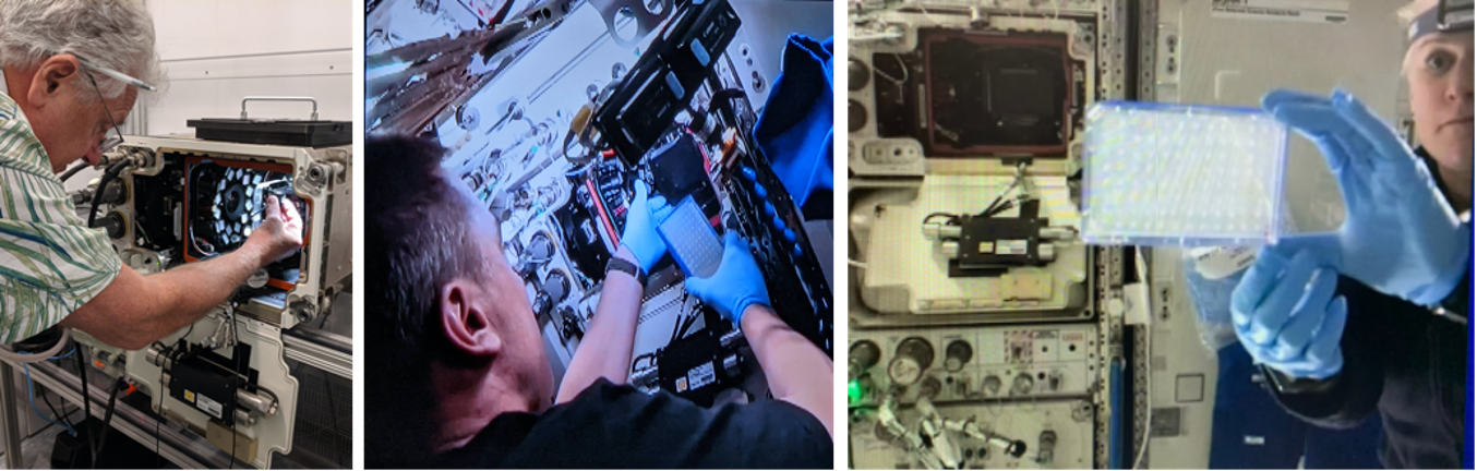 Multi-Spectral Fluorescence Imaging System for Studying Gene Expression on ISS - NASA Science