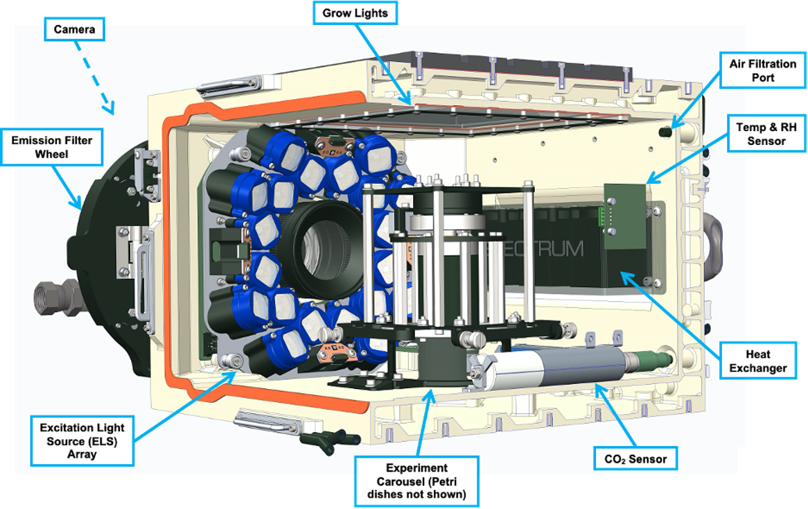Multi-Spectral Fluorescence Imaging System for Studying Gene Expression ...