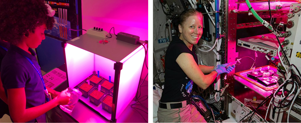 Growing Beyond Earth-a Citizen Science Project - NASA Science