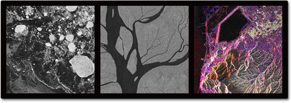 Microwaves - NASA Science