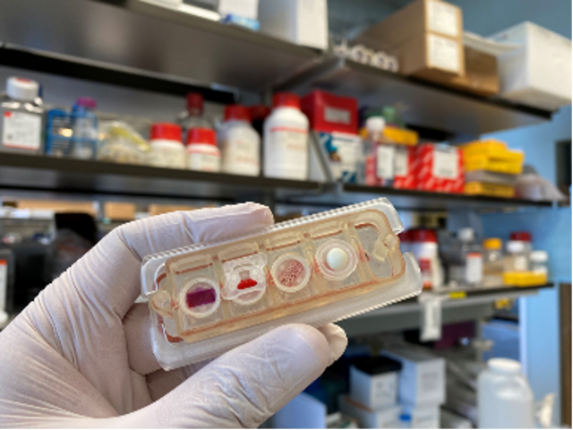 Multi-Organ Repair Post Hypoxia (MORPH) - NASA Science