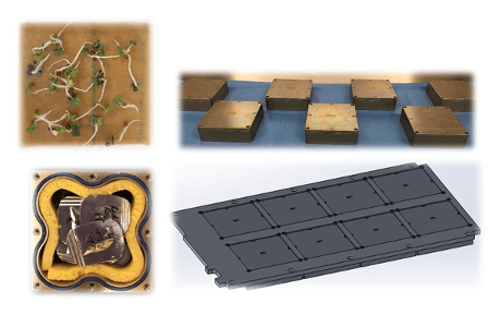 MISSE-SEED - NASA Science