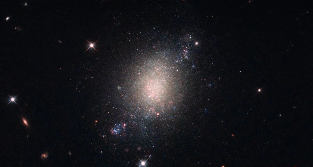 Hubble Scopes Out a Galaxy of Stellar Birth - NASA Science