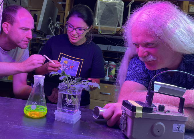 Exploring How Radiation Exposure Will Affect Life Forms on the Way to ...