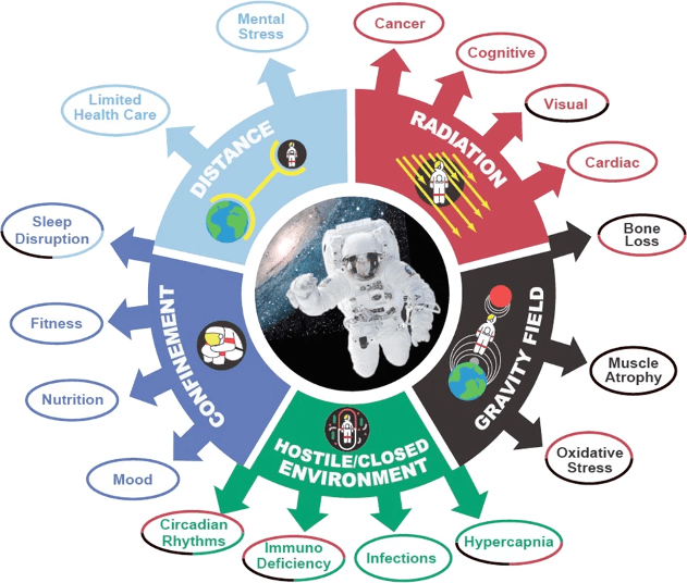 Exploring How Radiation Exposure Will Affect Life Forms on the Way to ...