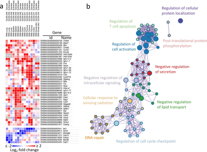 Entry Points to NASA Data