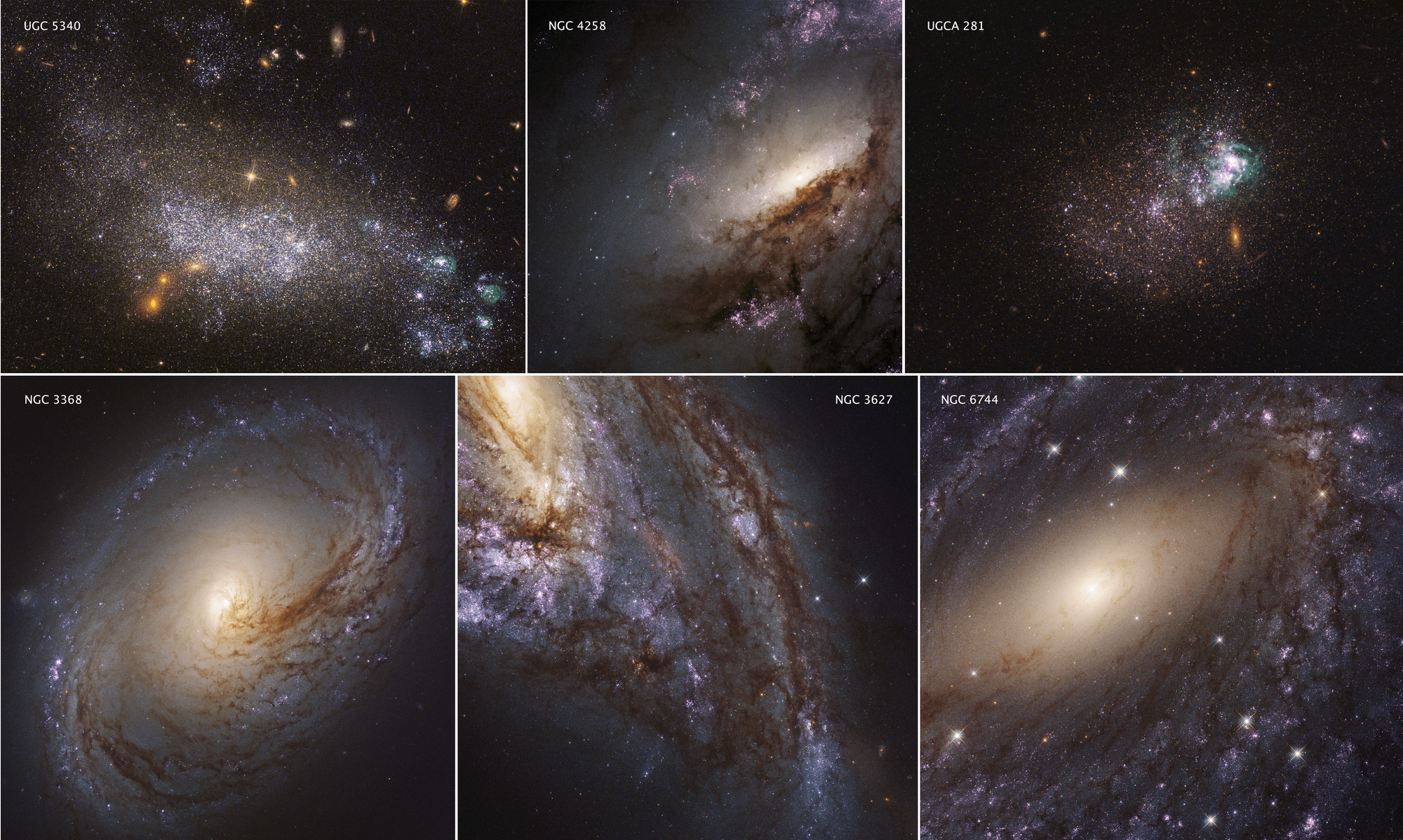 Astronomers Release Most Complete Ultraviolet-Light Survey of Nearby Galaxies - NASA Science