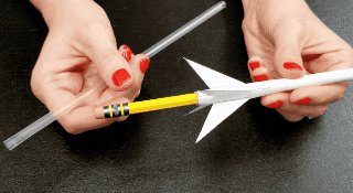 10+ Things to Do with NASA at Home - NASA Science