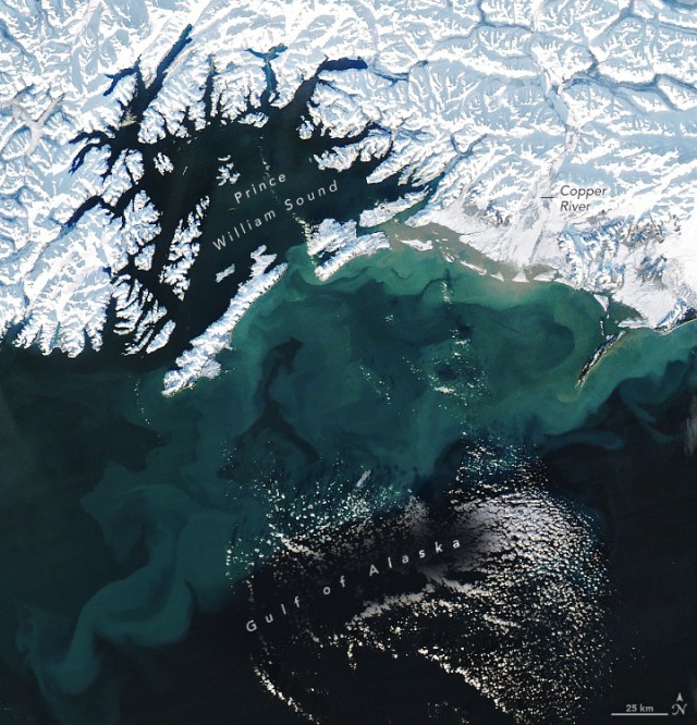 Colorful Swirls in the Gulf of Alaska