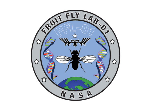 FFL - NASA Science