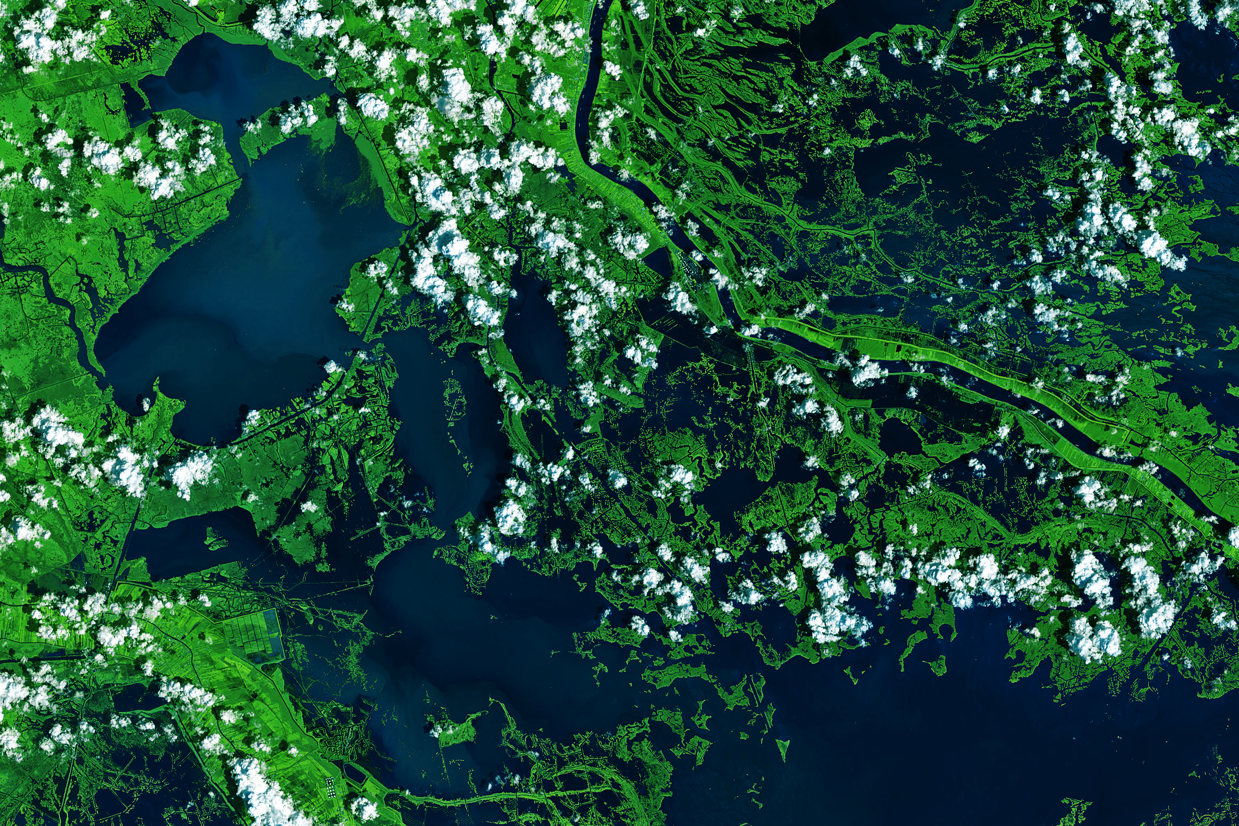 Hurricanes Have Left their Mark on Louisiana’s Wetlands - NASA Science