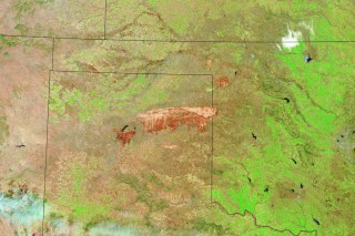 Fires Char Cattle Country