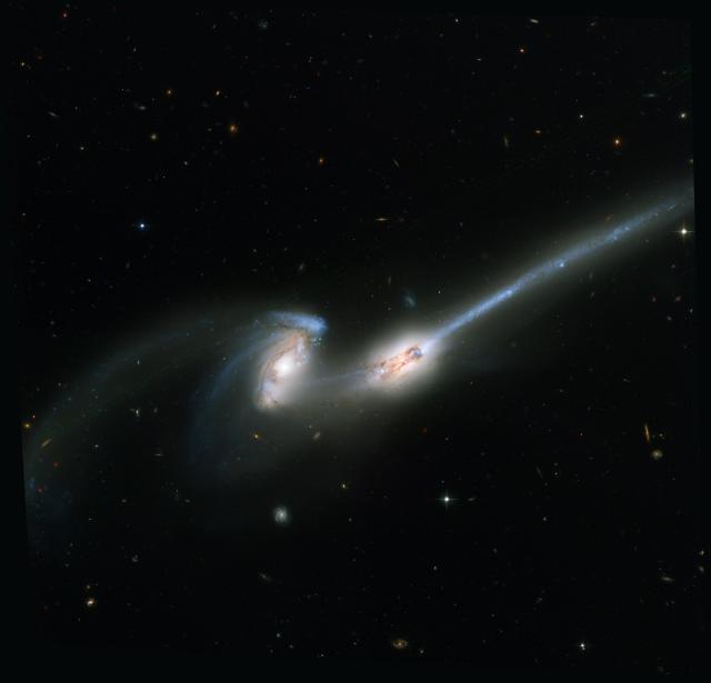 Hubble Images of Galaxies with Tidal Tails - NASA Science