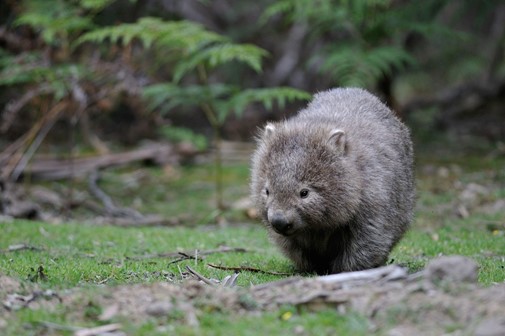 Bob Fletcher - NASA Science
