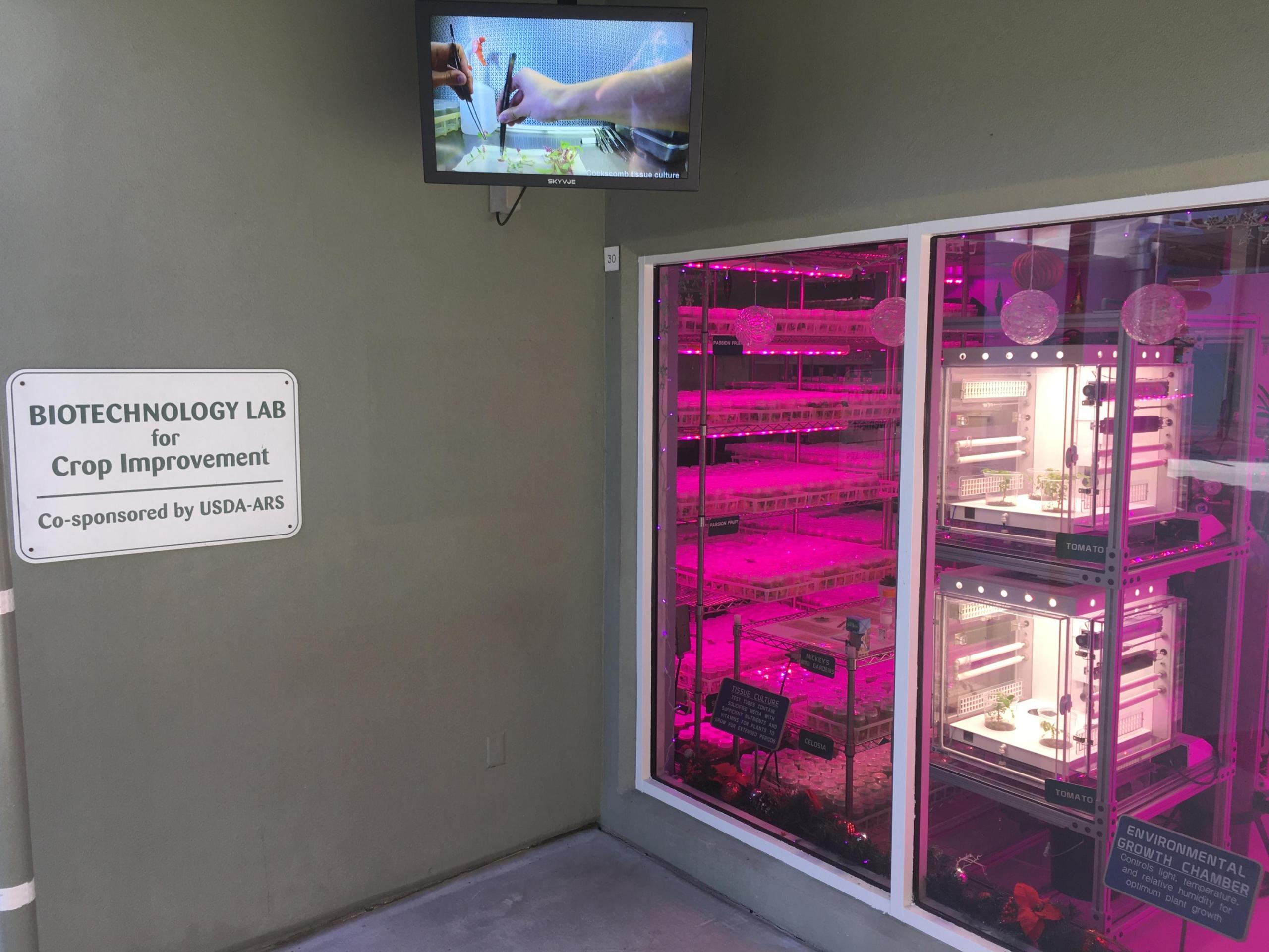 NASA’s Plant Science is Rooted in Earth and Shoots for the Stars - NASA ...