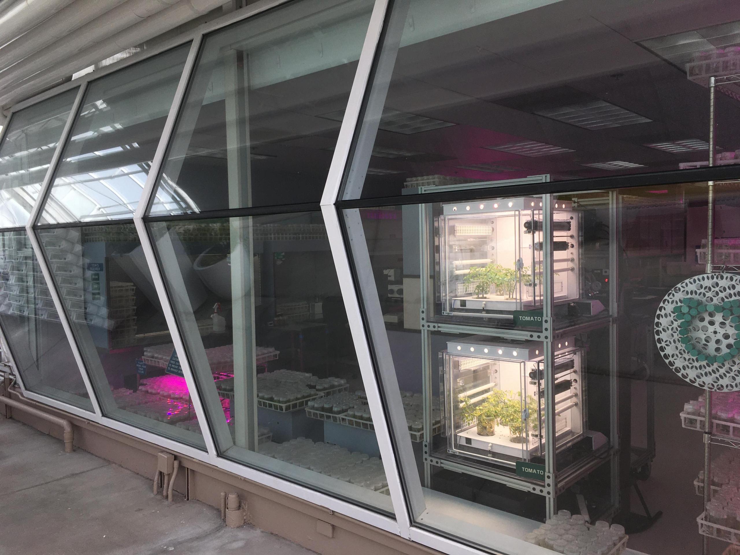 NASA’s Plant Science is Rooted in Earth and Shoots for the Stars - NASA ...