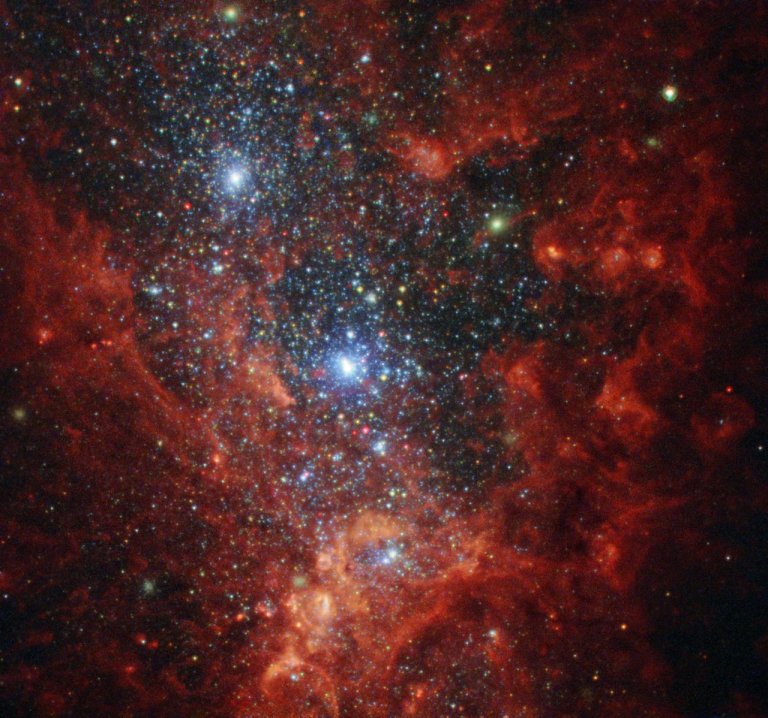 NGC 1569