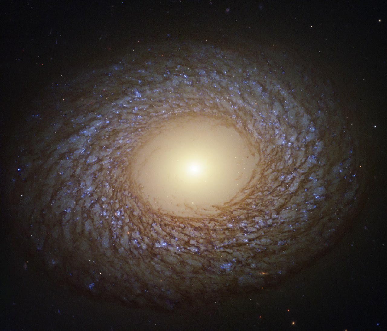 Spiral Galaxy NGC 2775