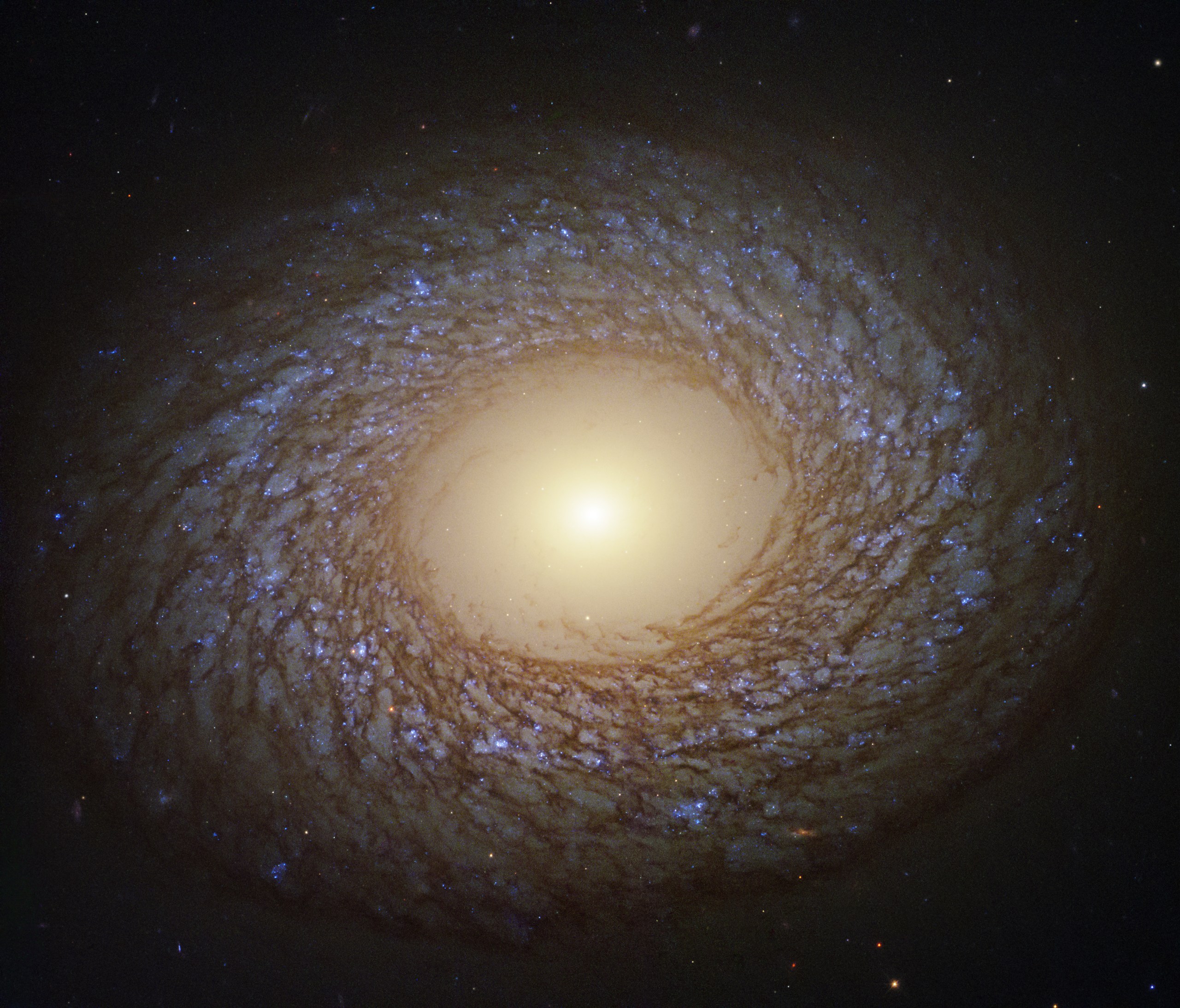 Spiral Galaxy NGC 2775
