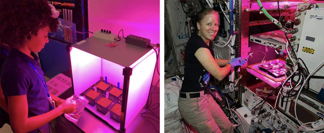 12 de enero: Sesiones informativas sobre el proyecto científico Growing ...