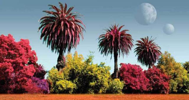 Living color: life on other worlds - NASA Science