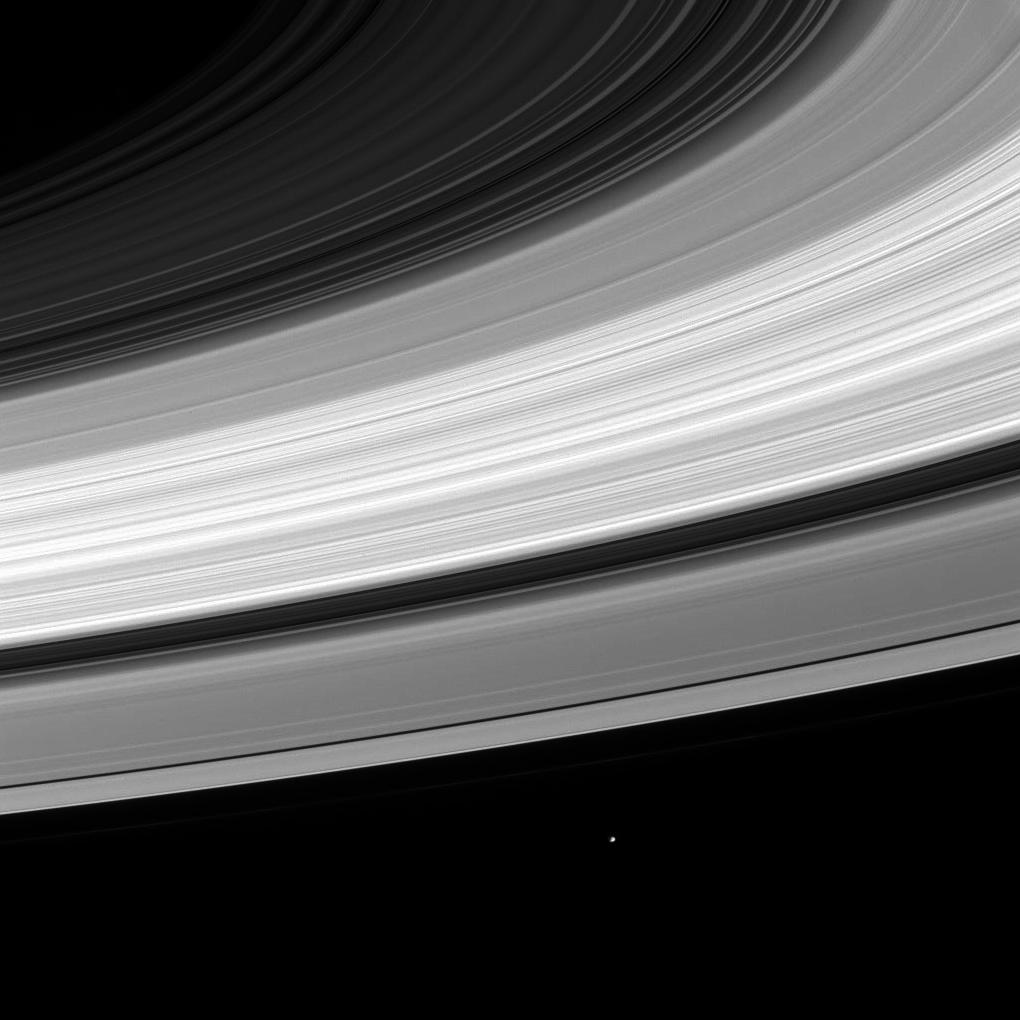 Janus and Rings - NASA Science