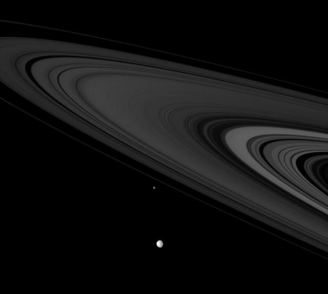 Saturnian Citizens - NASA Science