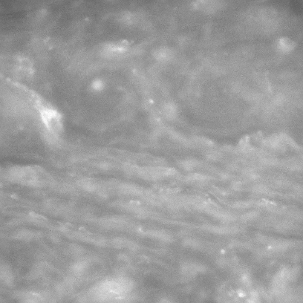 Dual Vortices - NASA Science