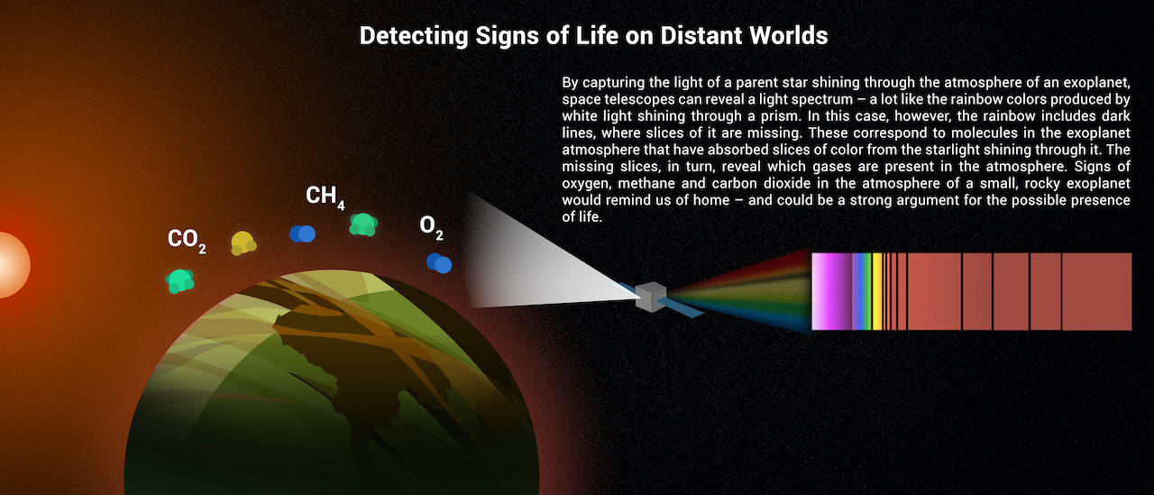 Life on Other Planets: What is Life and What Does It Need? - NASA Science