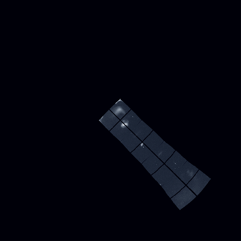 TESS's Southern Sky Panorama - NASA Science