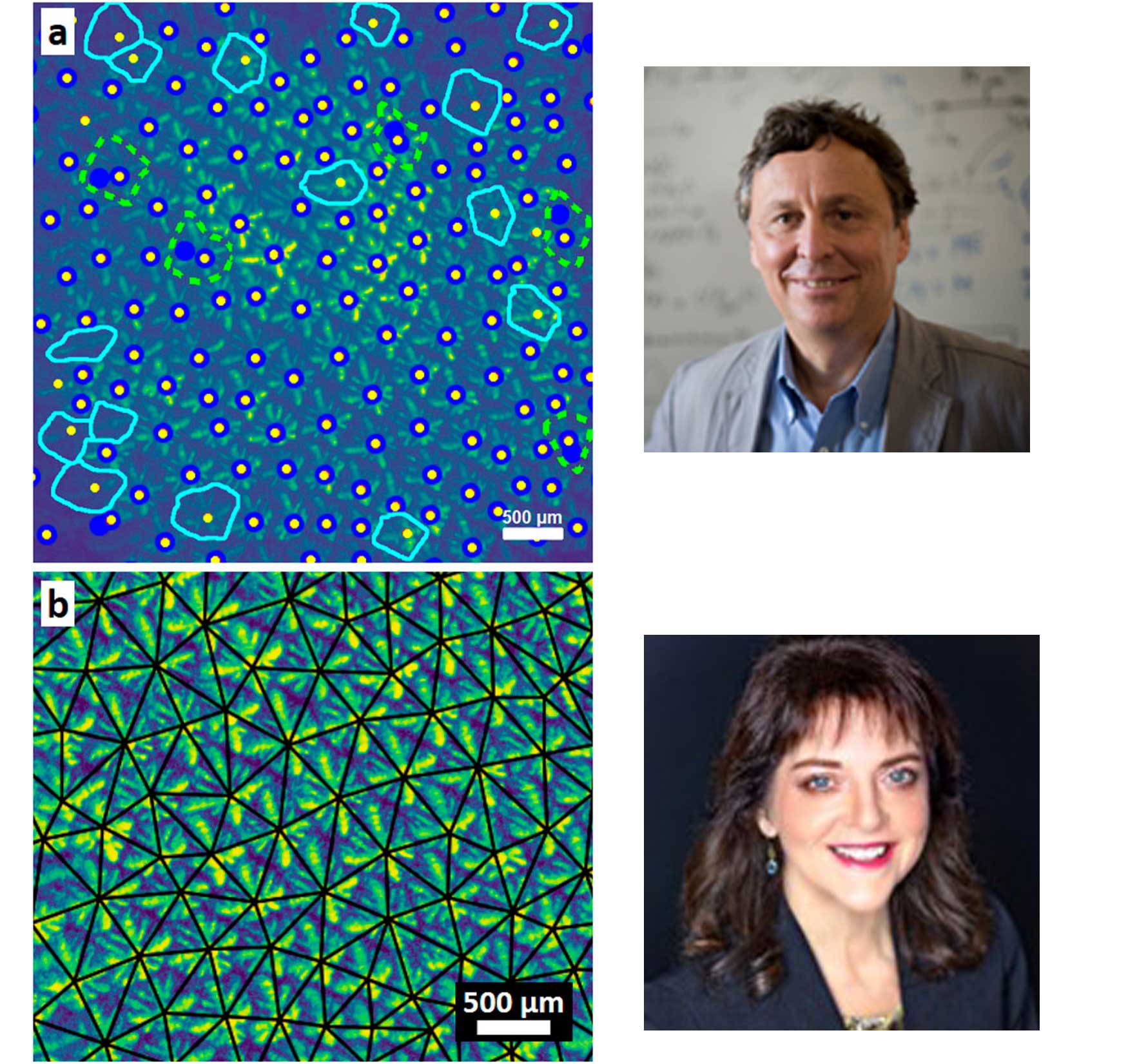 Karma, Littles Co-Author June Article in Review of Scientific ...
