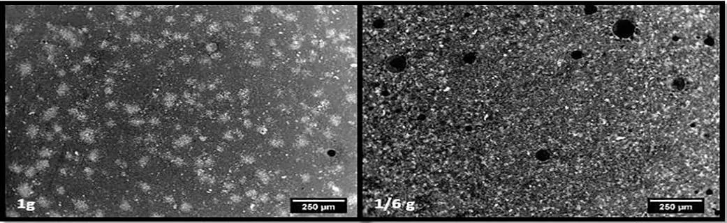 Microgravity Investigation of Cement Solidification (MICS) Earth vs ...