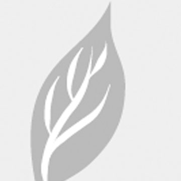 Leaf Classification - NASA Science