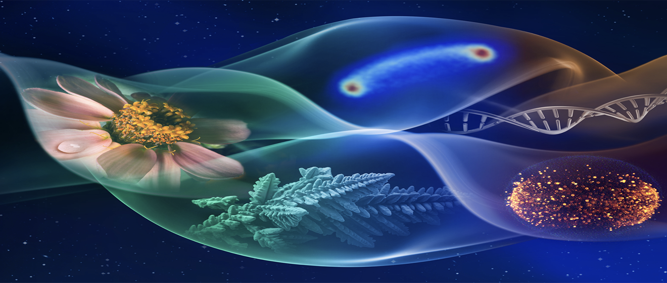 NASA Selects 11 Space Biology Research Projects to Inform Biological ...