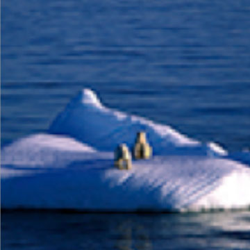 Climate Kids: How Do We Know the Climate Is Changing? - NASA Science