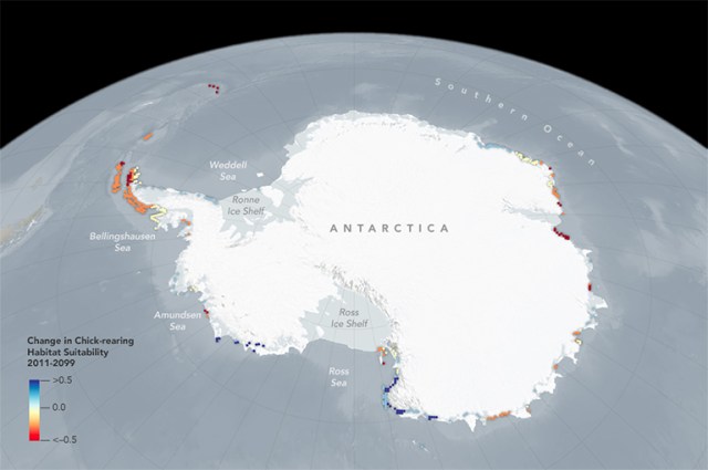Climate change may shrink Adélie penguin range by end of century - NASA ...