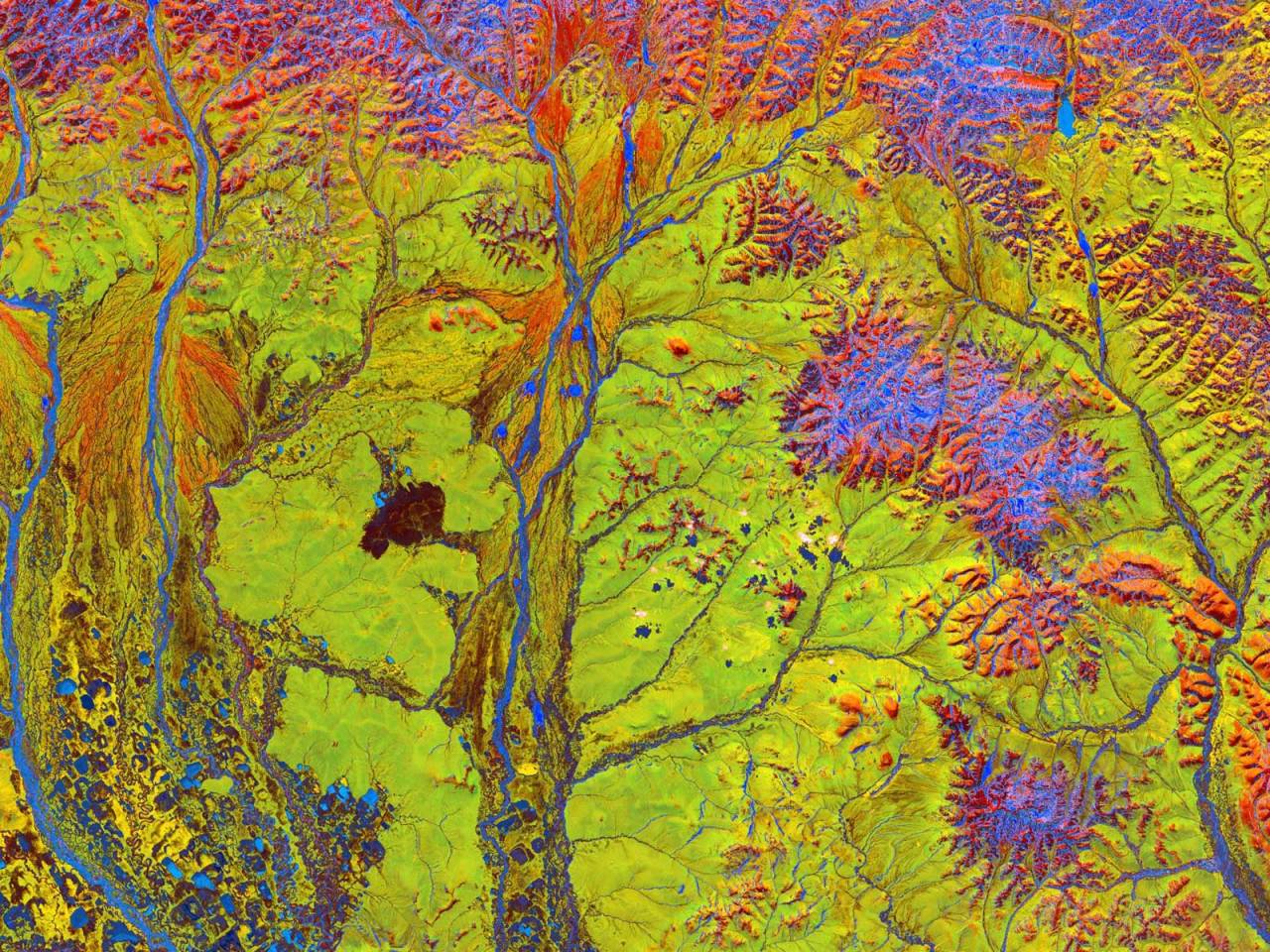 Siberian ribbons - NASA Science