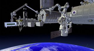 NASA's new space 'botanist' arrives at launch site - NASA Science