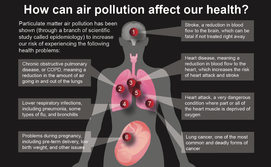 Getting to the Heart of the (Particulate) Matter - NASA Science